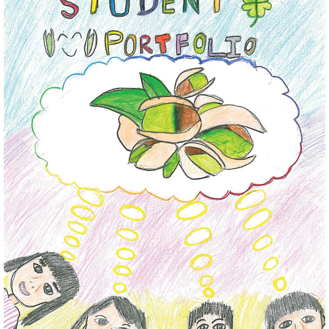 Student Portfolio Cover Design – STGSS