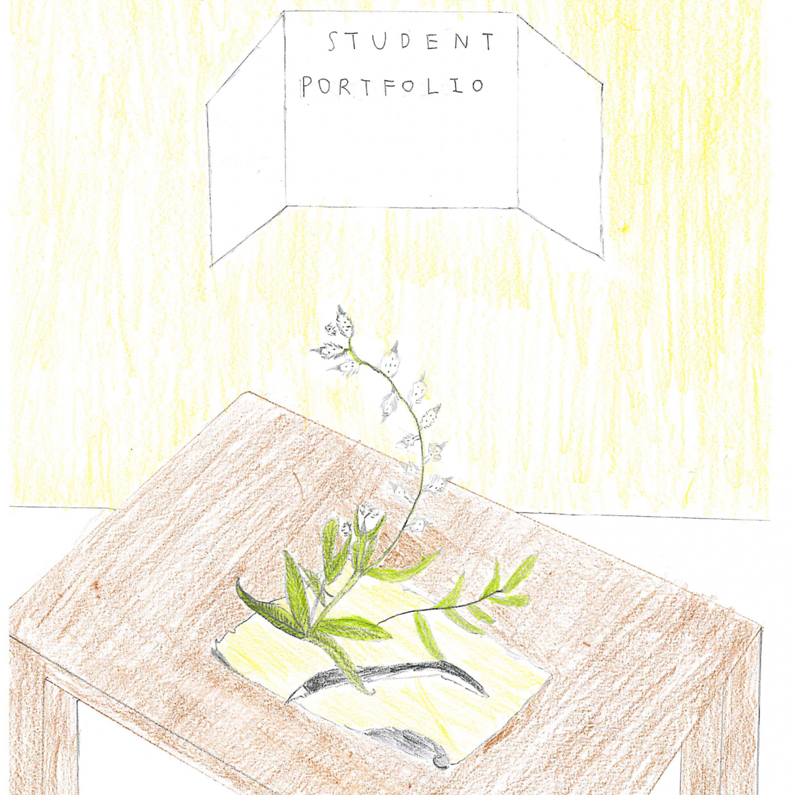 Student Portfolio Cover Design-1A – STGSS