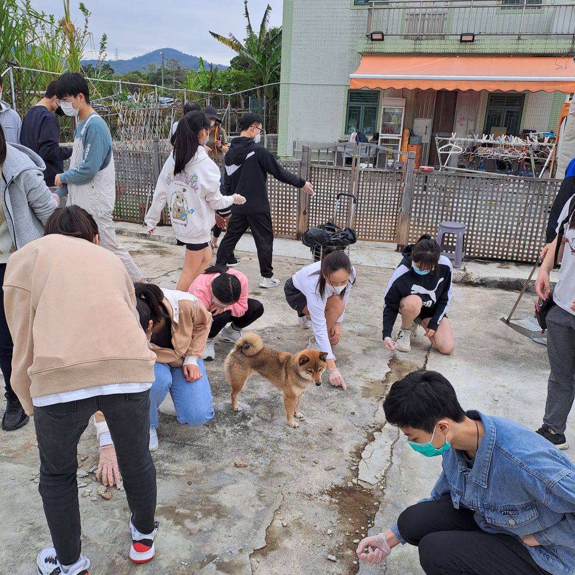 S4 One Student One Community Service_ Animal Service – STGSS