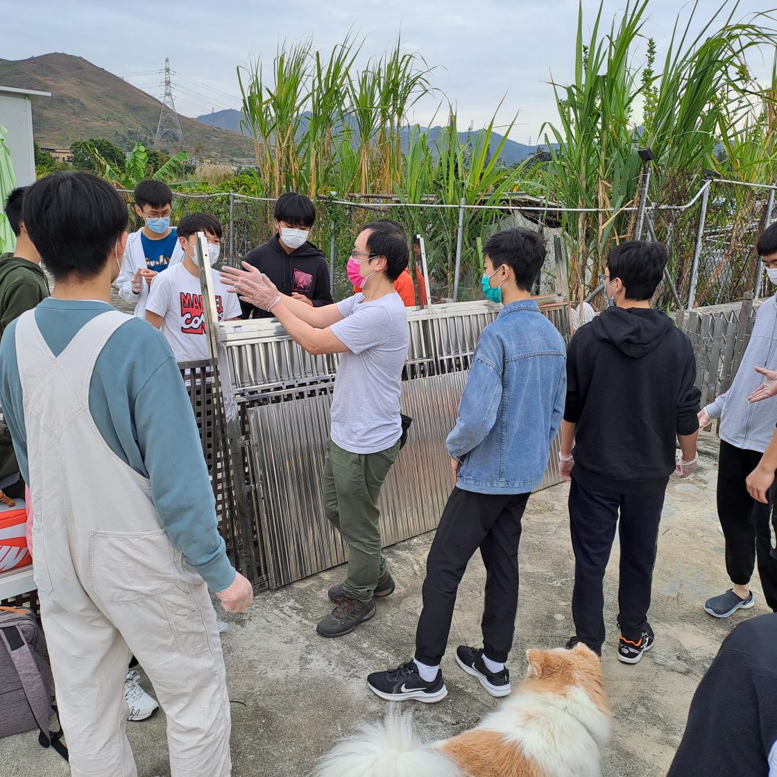 S4 One Student One Community Service_ Animal Service – STGSS