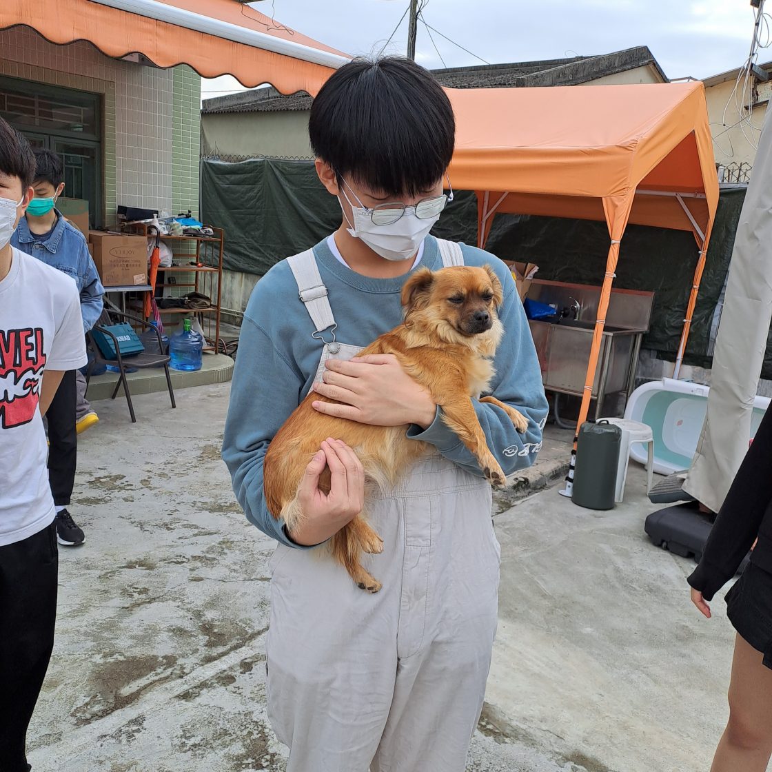 S4 One Student One Community Service_ Animal Service – STGSS