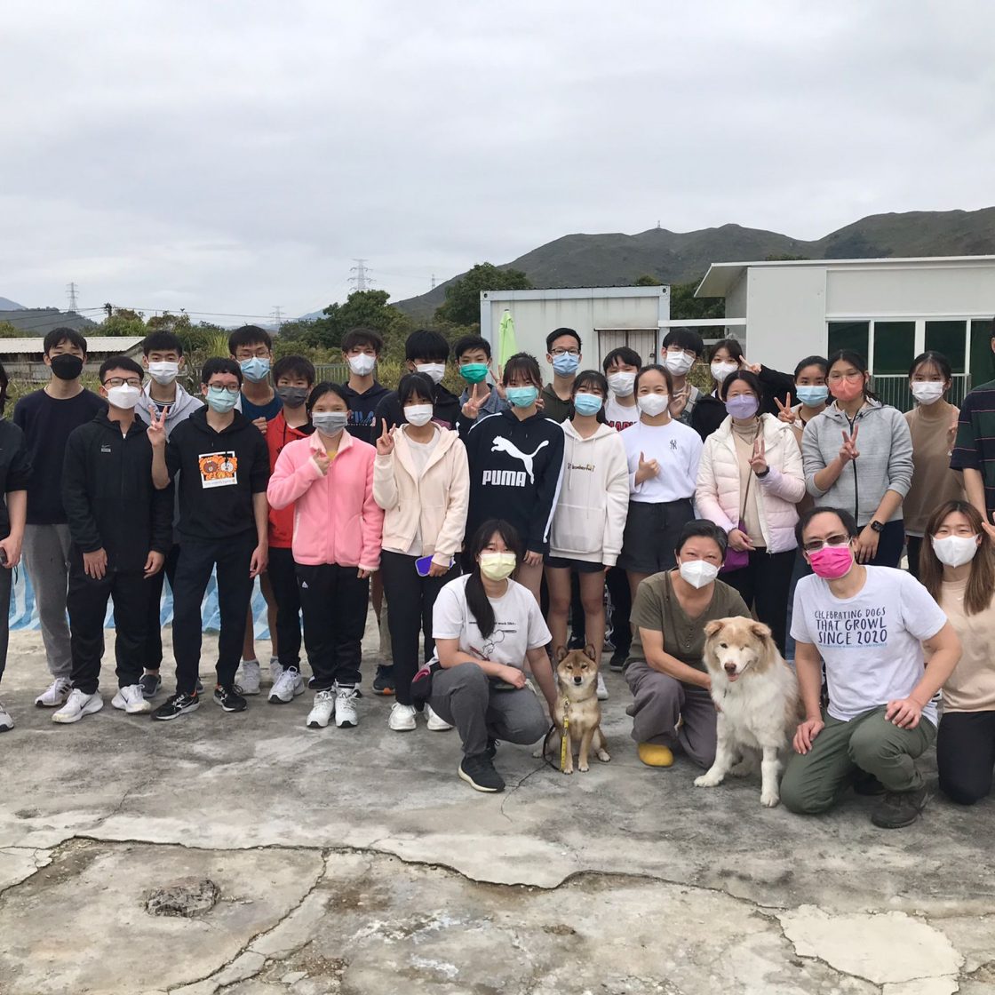 S4 One Student One Community Service_ Animal Service – STGSS