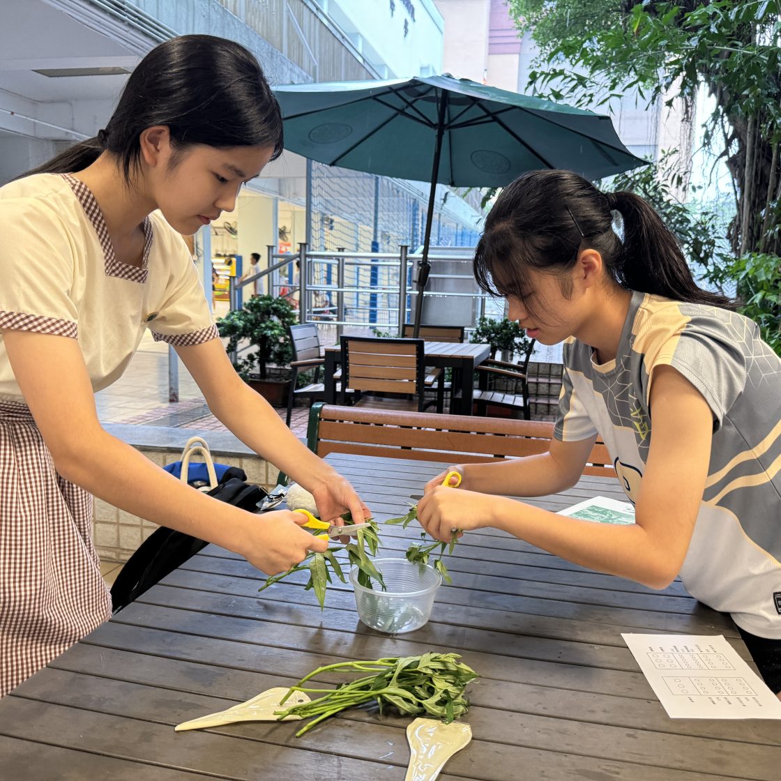 Inter house planting competition 2023-2024 – STGSS