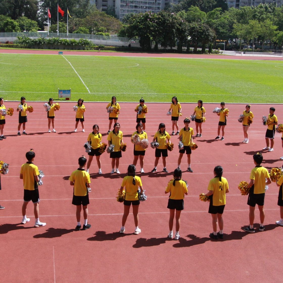 Cheering team performance 2024-2025 – STGSS